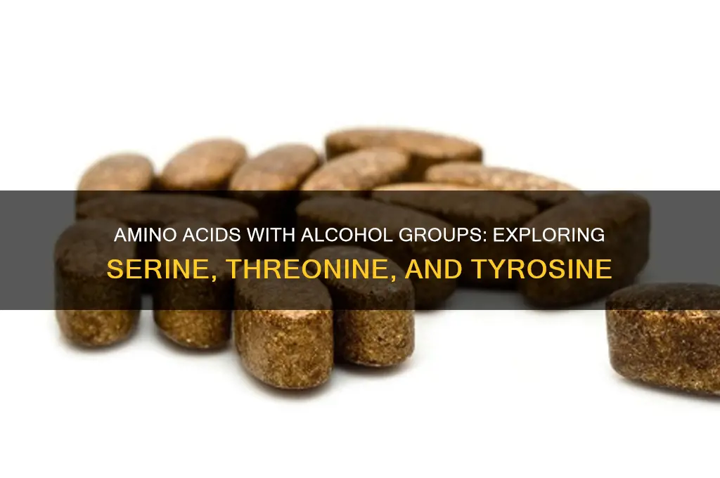 Amino Acids With Alcohol Groups: Exploring Serine, Threonine, And ...