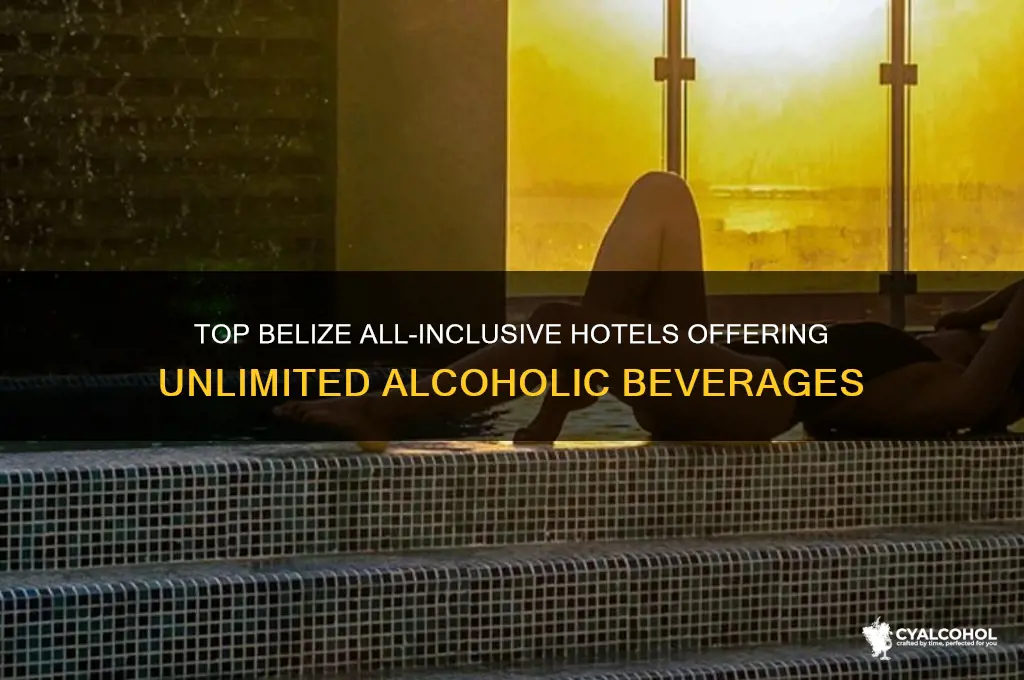Top Belize All-Inclusive Hotels Offering Unlimited Alcoholic Beverages ...