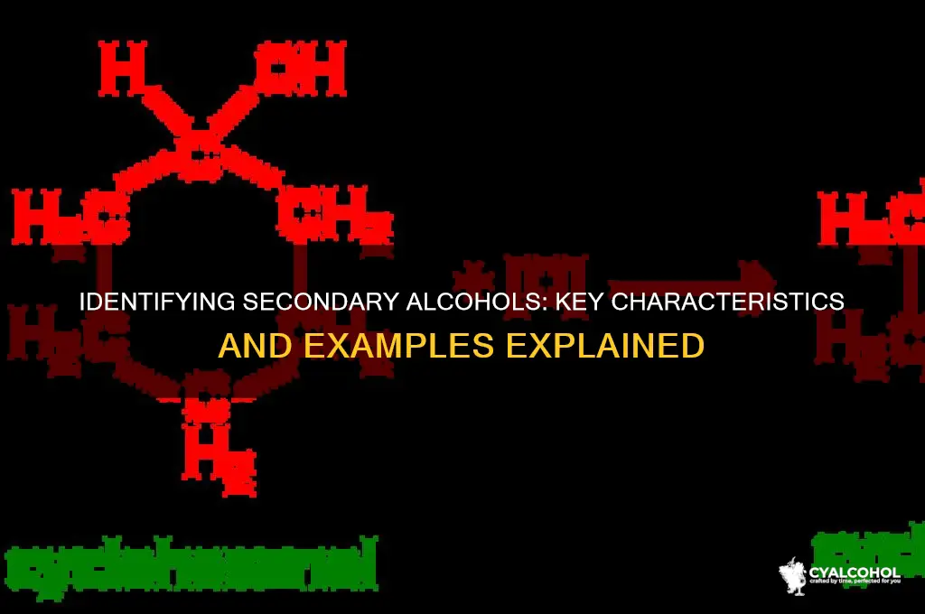 Identifying Secondary Alcohols: Key Characteristics And Examples ...