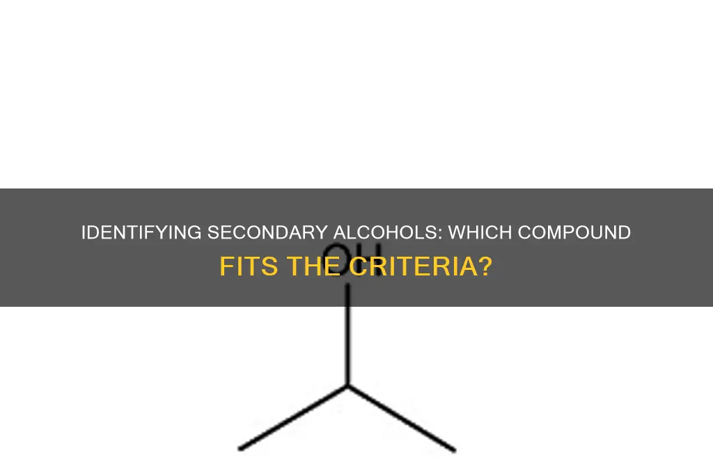 Identifying Secondary Alcohols: Which Compound Fits The Criteria ...