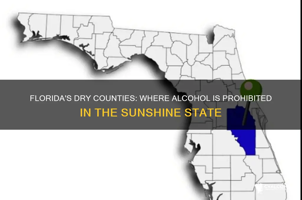 Florida's Dry Counties: Where Alcohol Is Prohibited In The Sunshine ...