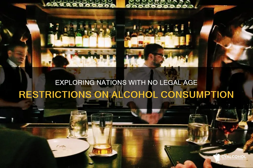 Exploring Nations With No Legal Age Restrictions On Alcohol Consumption ...