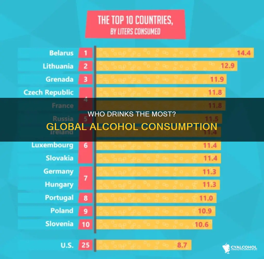 Who Drinks The Most? Global Alcohol Consumption | CyAlcohol