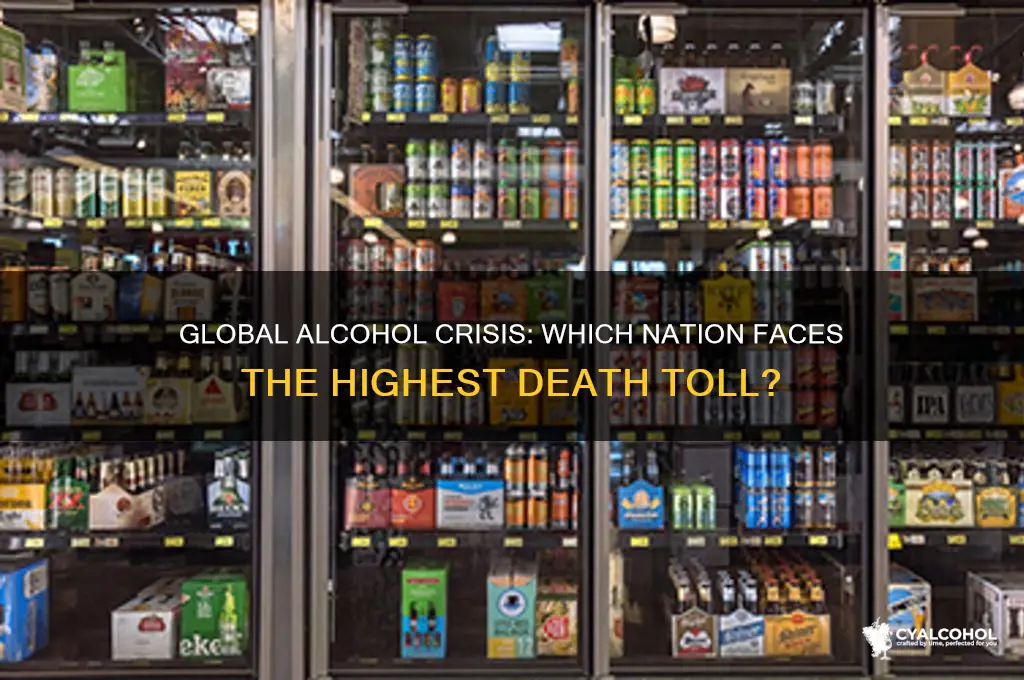 Global Alcohol Crisis: Which Nation Faces The Highest Death Toll ...