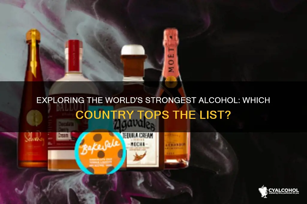 Exploring The World's Strongest Alcohol: Which Country Tops The List ...