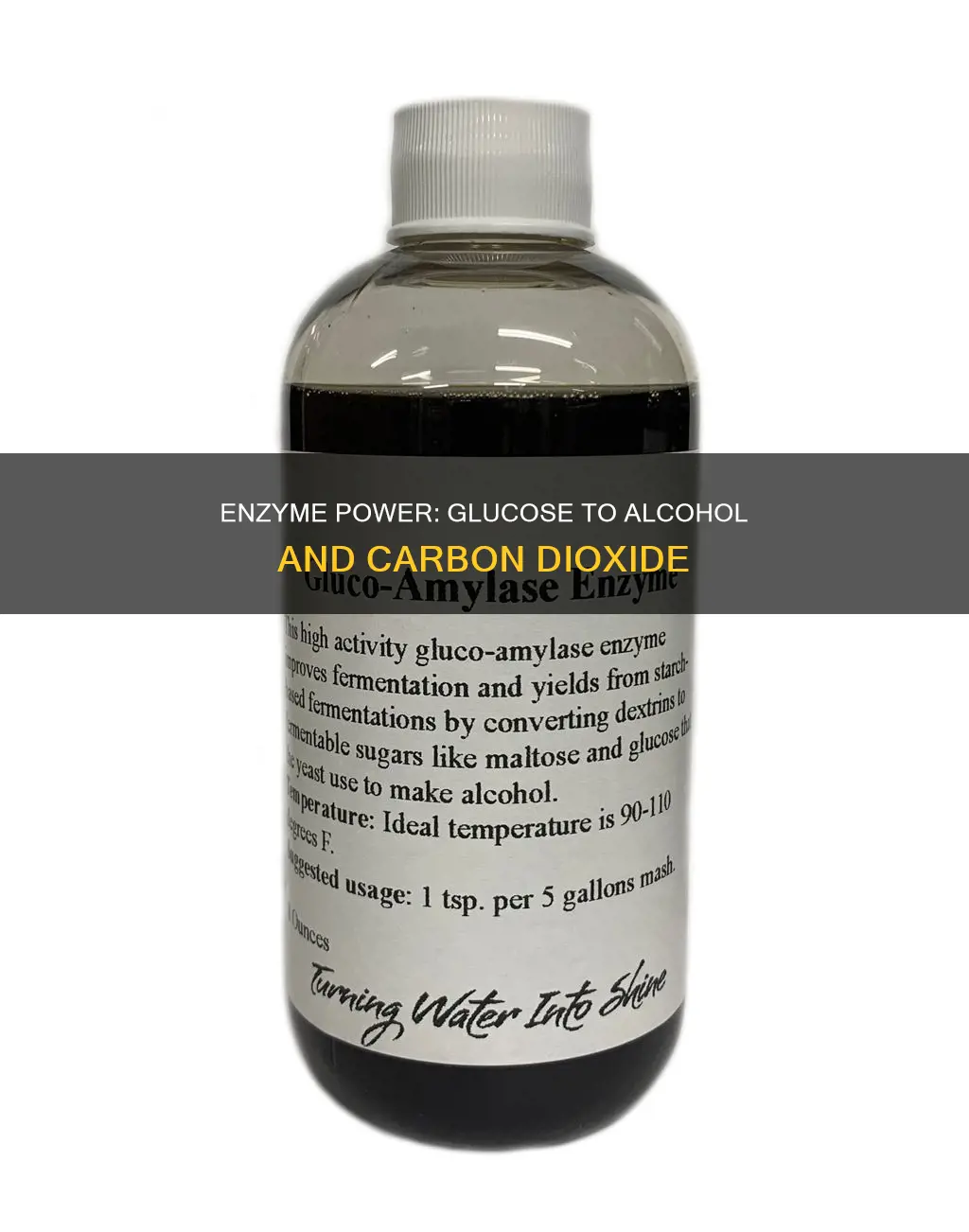 Enzyme Power: Glucose To Alcohol And Carbon Dioxide | CyAlcohol