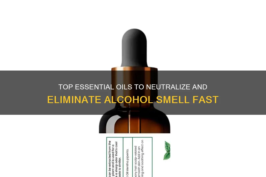 Top Essential Oils To Neutralize And Eliminate Alcohol Smell Fast ...