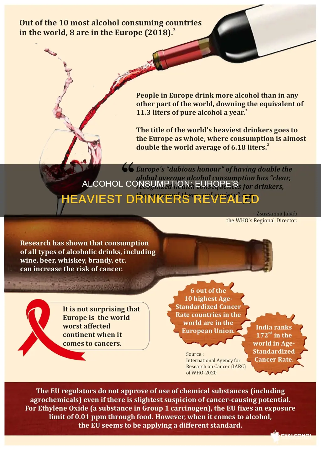 Alcohol Consumption: Europe's Heaviest Drinkers Revealed | CyAlcohol