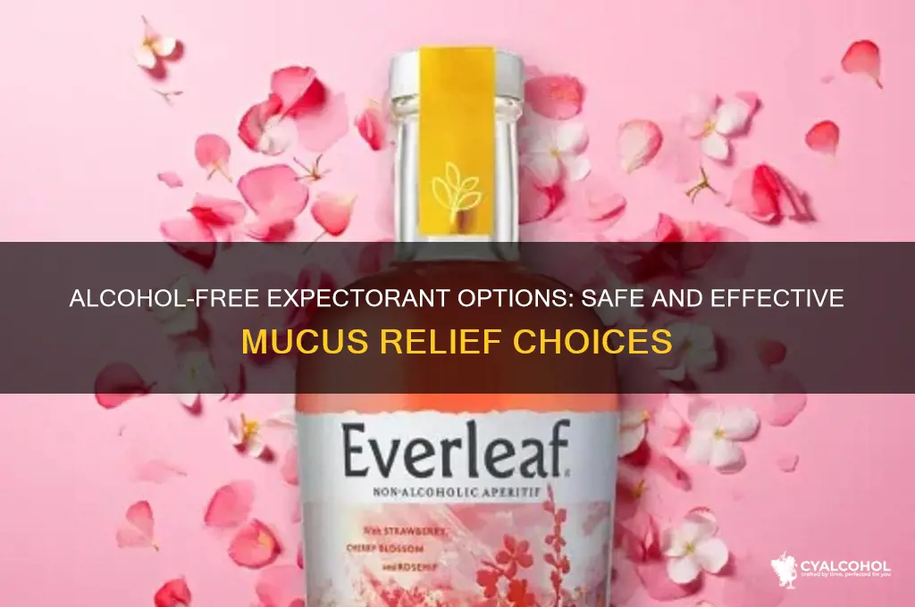 Alcohol-Free Expectorant Options: Safe And Effective Mucus Relief ...