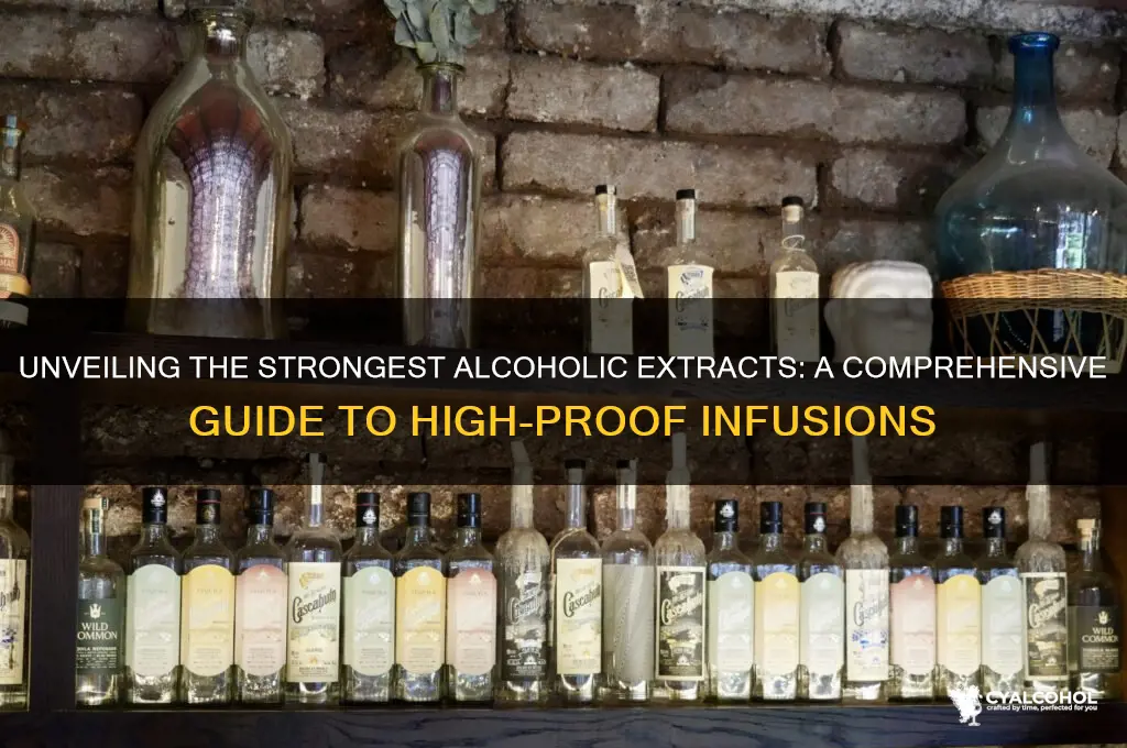Unveiling The Strongest Alcoholic Extracts: A Comprehensive Guide To ...