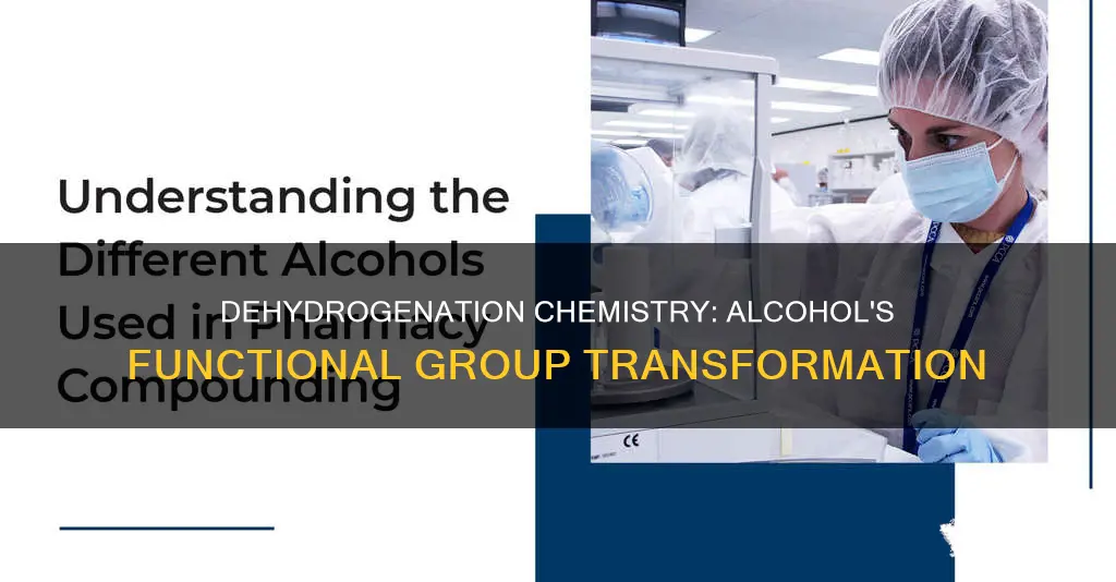 Dehydrogenation Chemistry: Alcohol's Functional Group Transformation ...