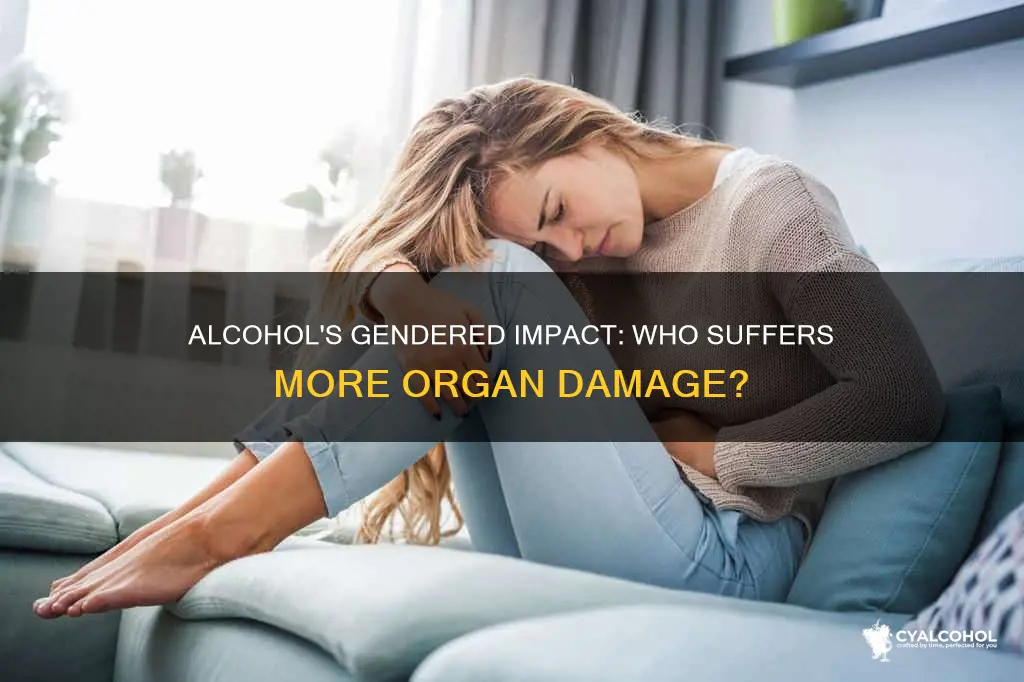 Alcohol's Gendered Impact: Who Suffers More Organ Damage? | CyAlcohol