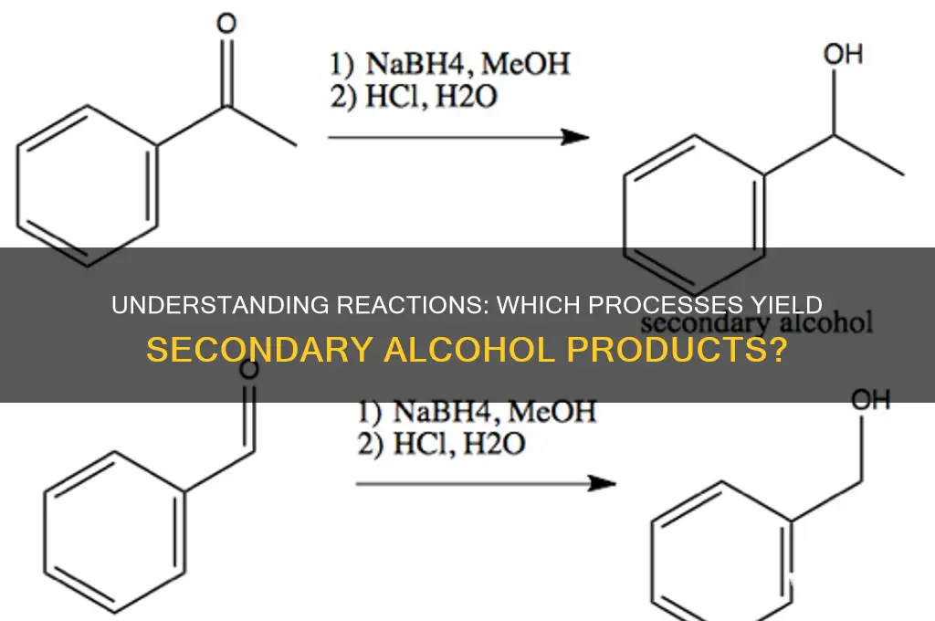 Understanding Reactions: Which Processes Yield Secondary Alcohol ...
