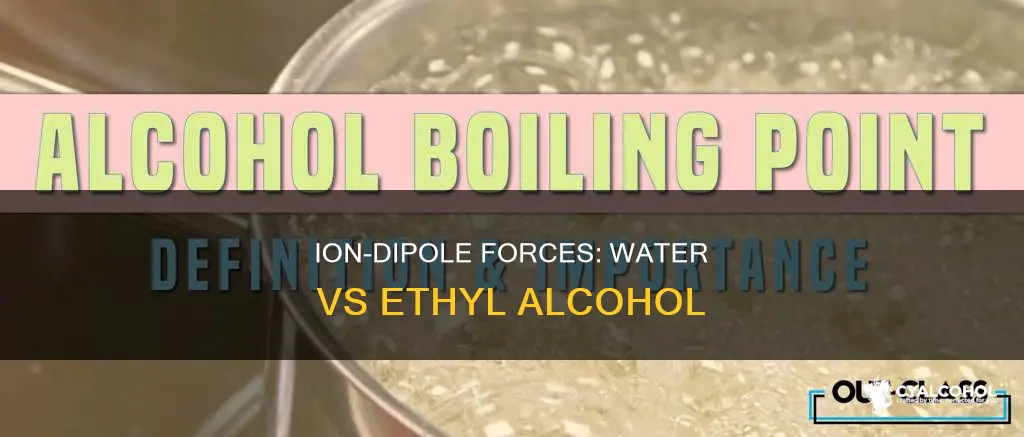 Ion-Dipole Forces: Water Vs Ethyl Alcohol | CyAlcohol