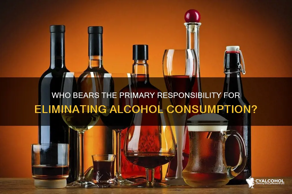 Who Bears The Primary Responsibility For Eliminating Alcohol ...