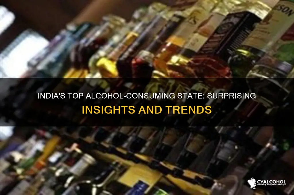 India's Top Alcohol-Consuming State: Surprising Insights And Trends ...