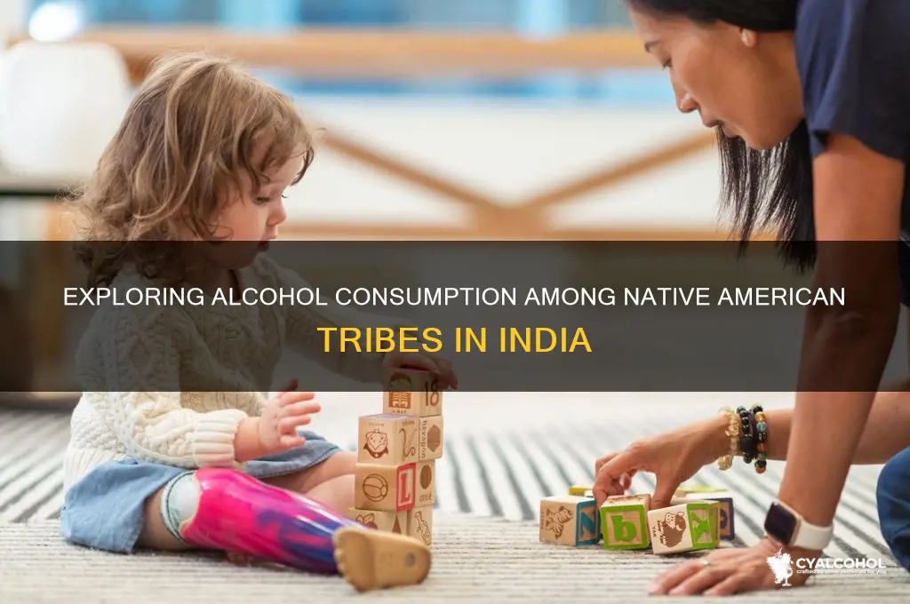 Exploring Alcohol Consumption Among Native American Tribes In India ...