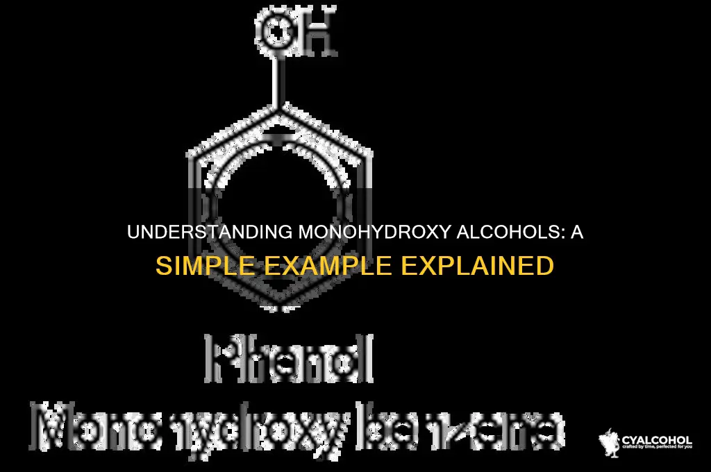 Understanding Monohydroxy Alcohols: A Simple Example Explained | CyAlcohol