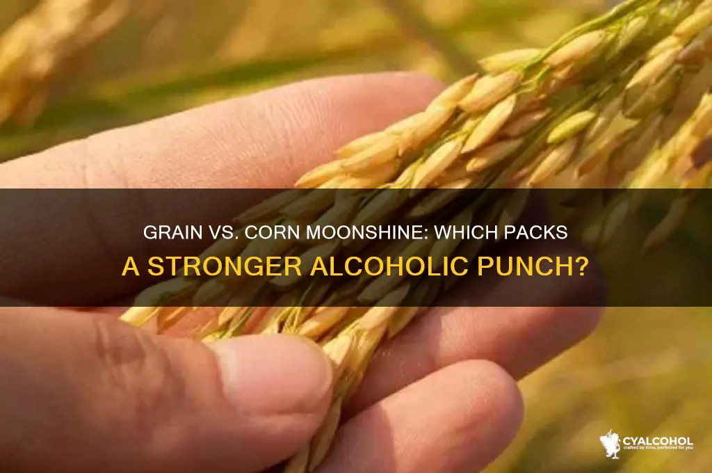 Grain Vs. Corn Moonshine: Which Packs A Stronger Alcoholic Punch ...