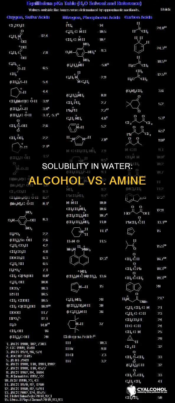 Solubility In Water: Alcohol Vs. Amine | CyAlcohol