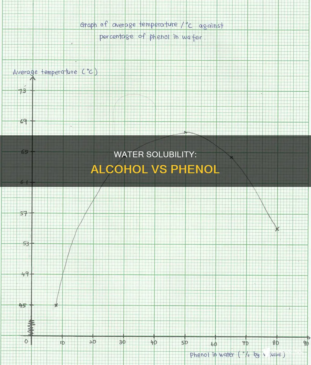 Water Solubility: Alcohol Vs Phenol | CyAlcohol