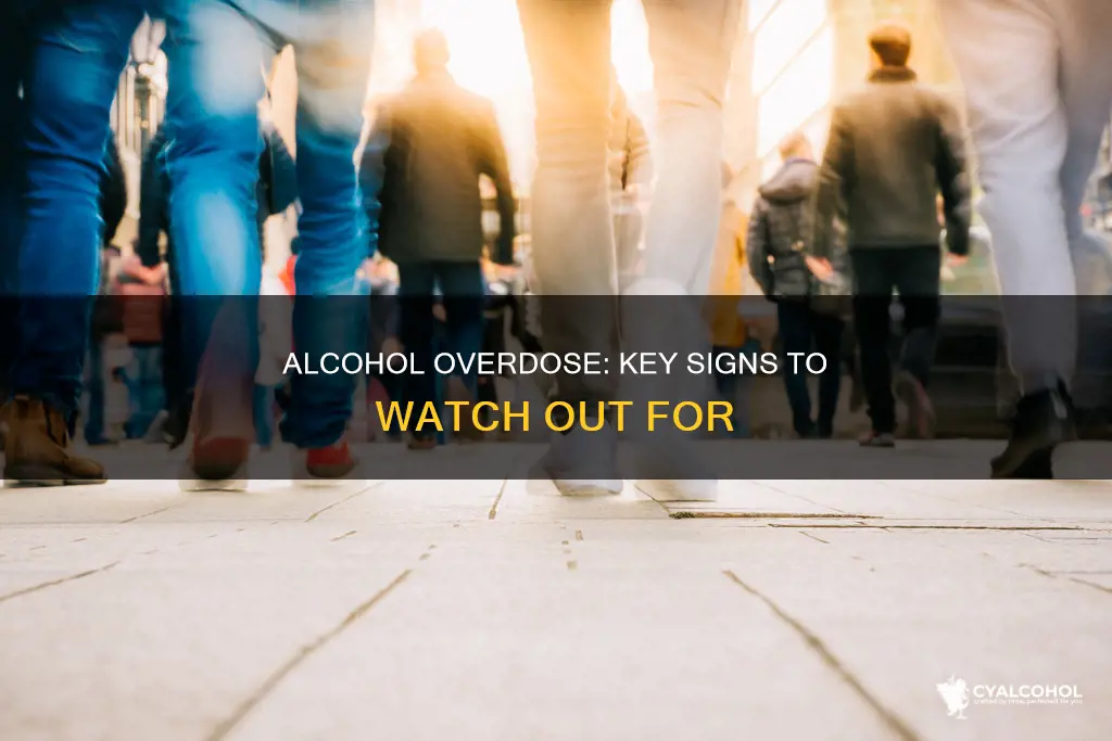 Alcohol Overdose: Key Signs To Watch Out For | CyAlcohol