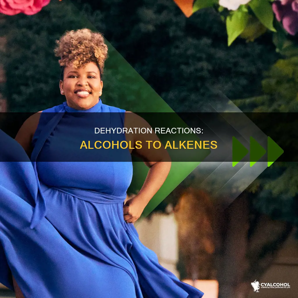 Dehydration Reactions: Alcohols To Alkenes | CyAlcohol