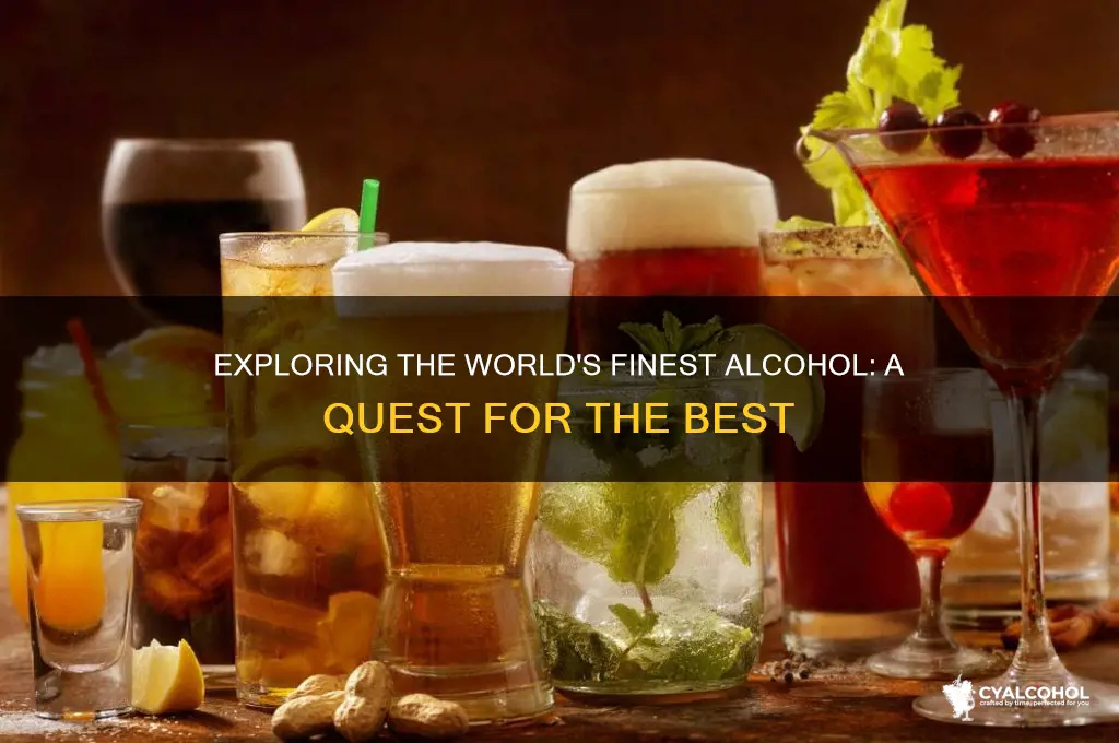Exploring The World's Finest Alcohol: A Quest For The Best | CyAlcohol