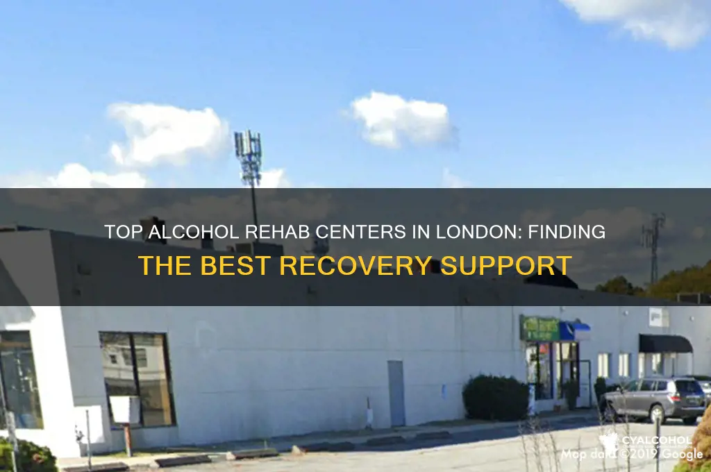 Top Alcohol Rehab Centers In London: Finding The Best Recovery Support ...