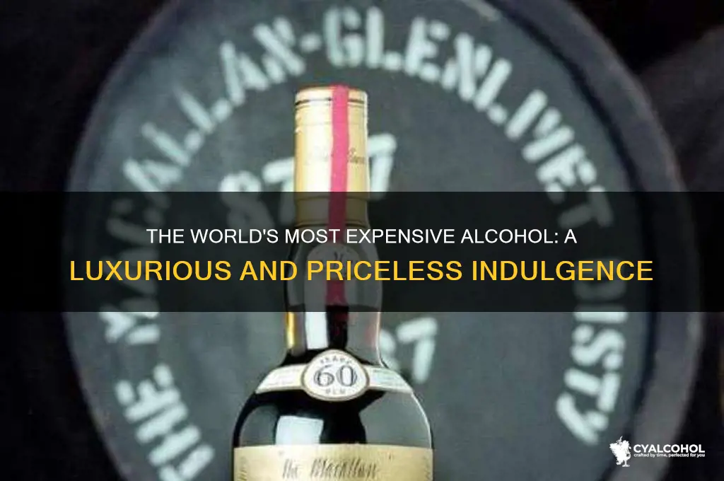 The World's Most Expensive Alcohol: A Luxurious And Priceless ...