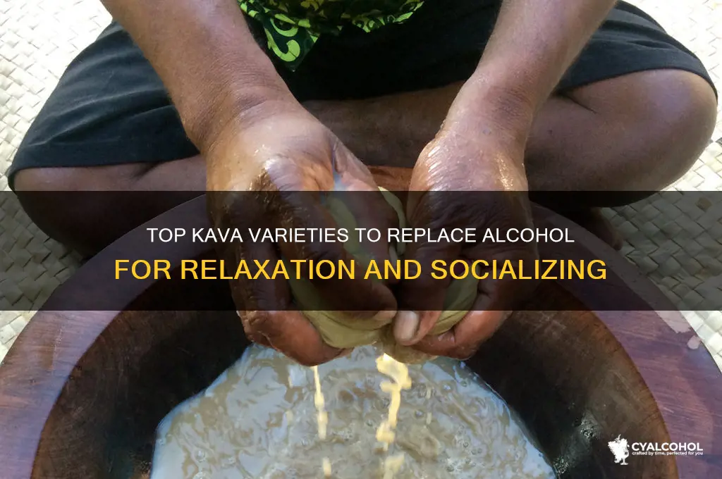Top Kava Varieties To Replace Alcohol For Relaxation And Socializing ...