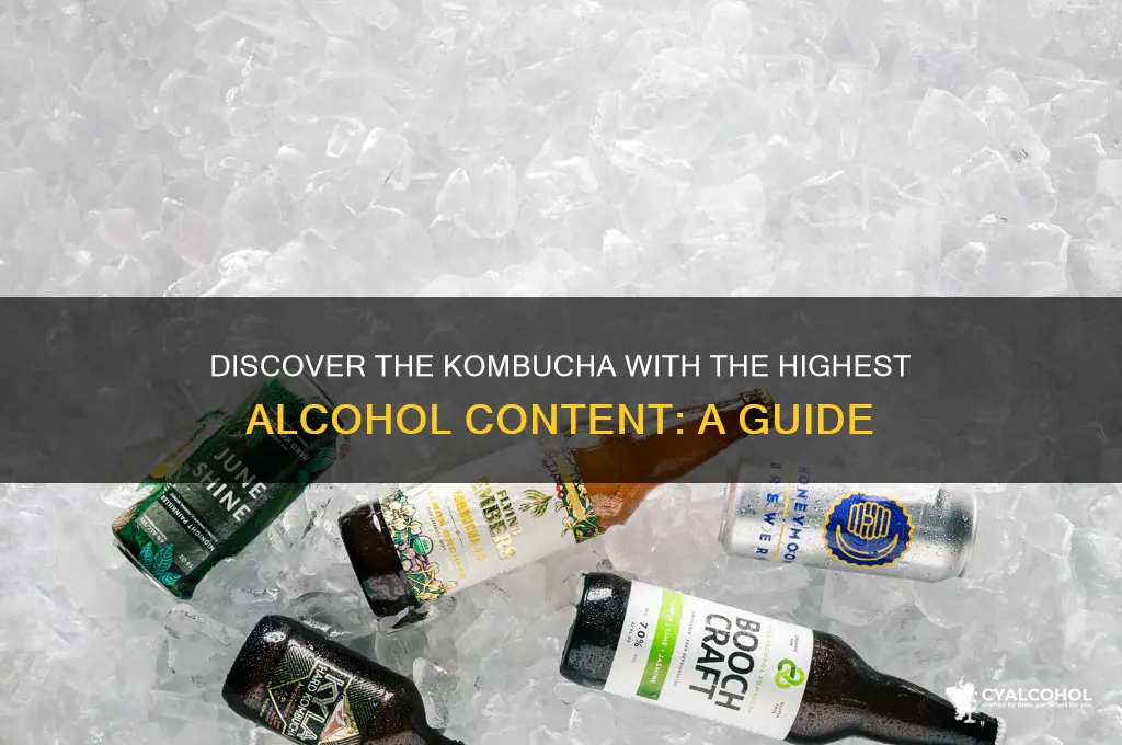 Discover The Kombucha With The Highest Alcohol Content: A Guide | CyAlcohol