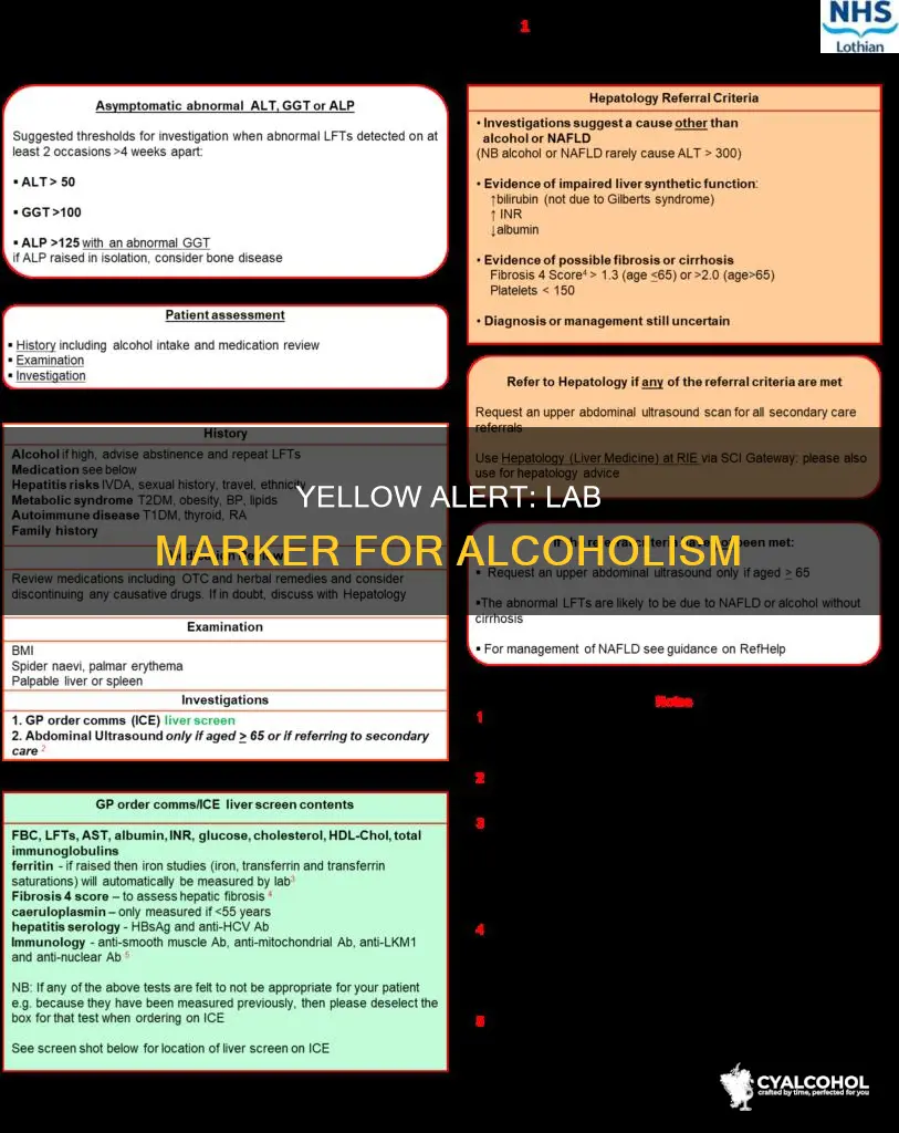 Yellow Alert: Lab Marker For Alcoholism | CyAlcohol