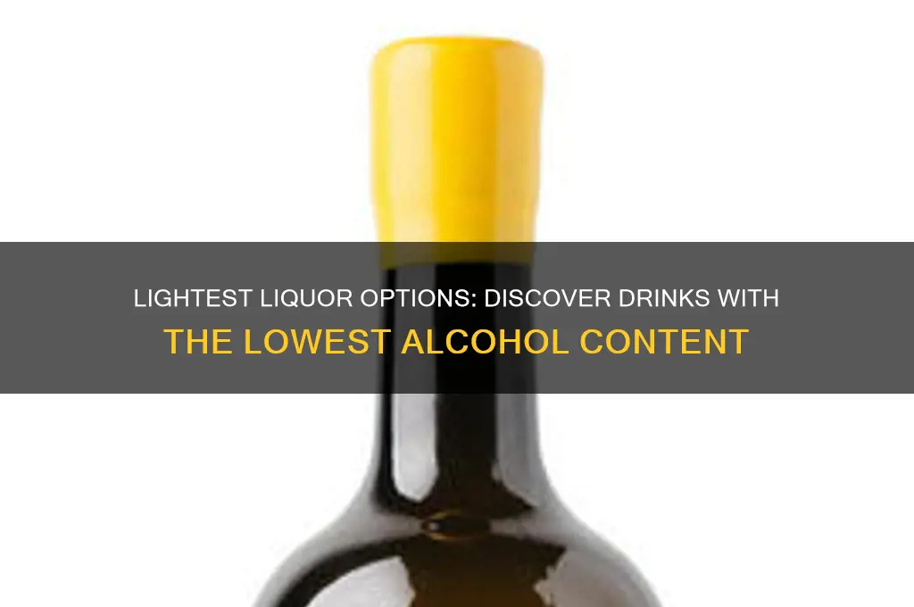 Lightest Liquor Options: Discover Drinks With The Lowest Alcohol ...