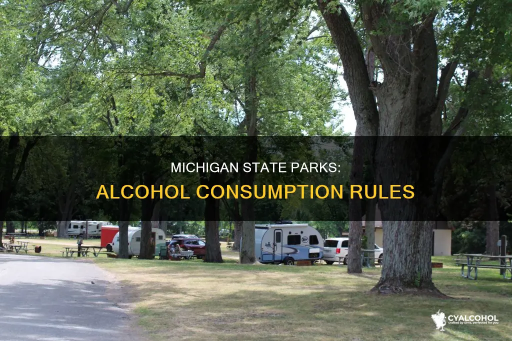 Michigan State Parks: Alcohol Consumption Rules | CyAlcohol