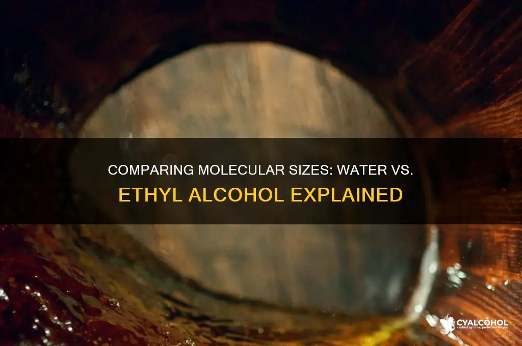 Comparing Molecular Sizes: Water Vs. Ethyl Alcohol Explained | CyAlcohol