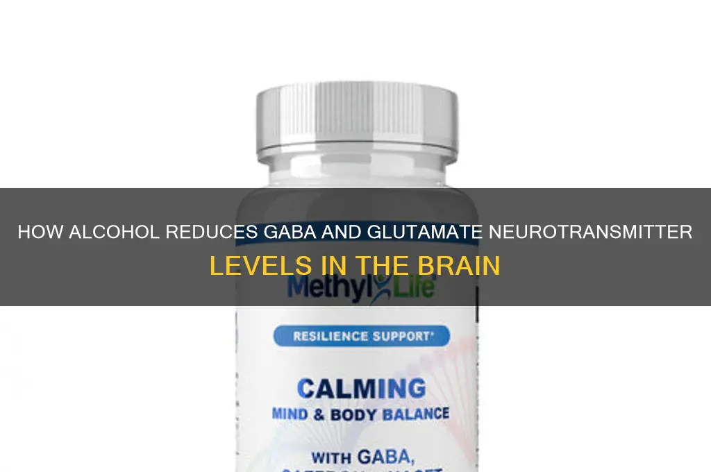 How Alcohol Reduces Gaba And Glutamate Neurotransmitter Levels In The ...