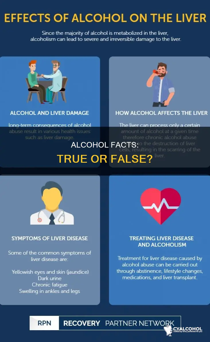Alcohol Facts: True Or False? | CyAlcohol