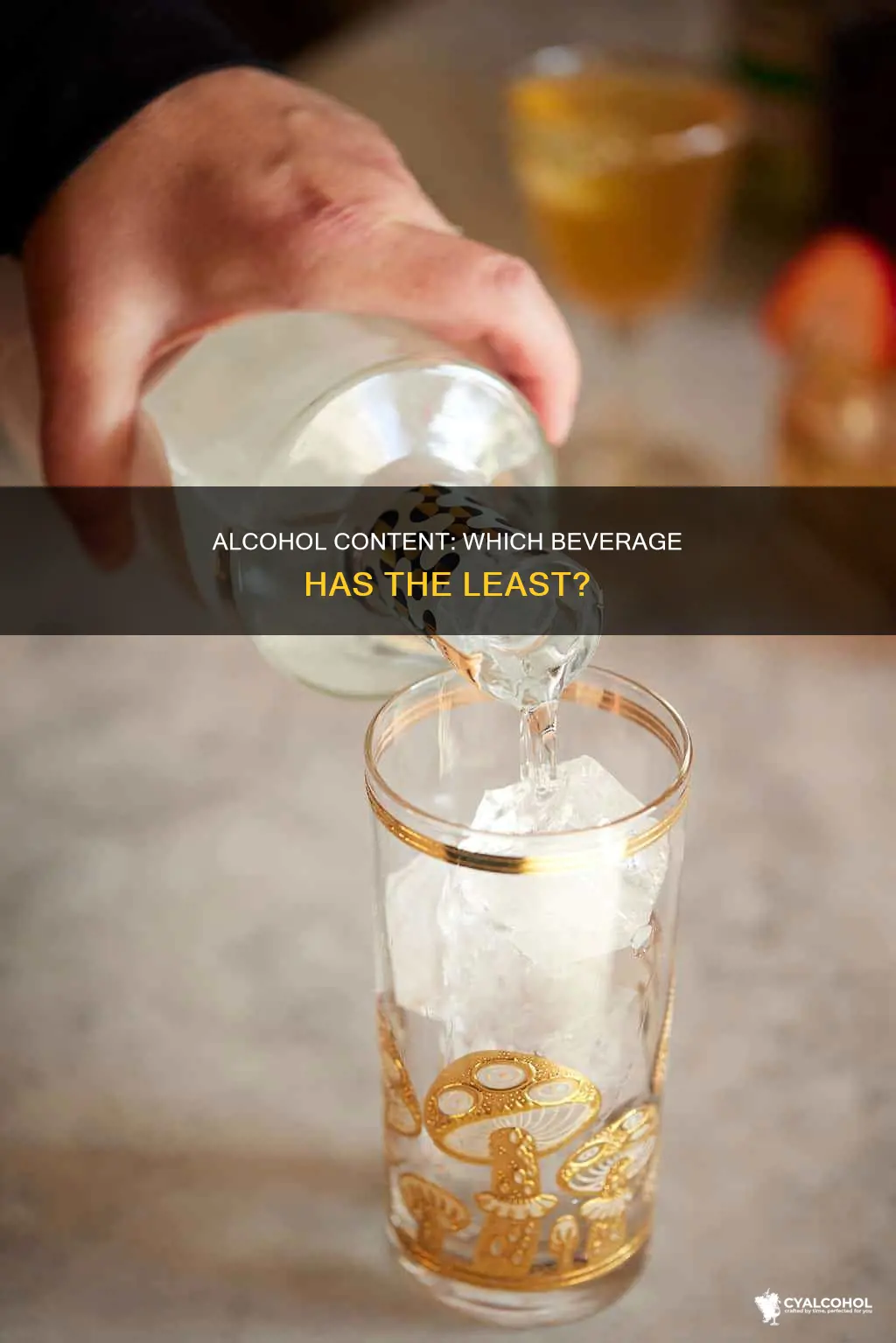 Alcohol Content: Which Beverage Has The Least? | CyAlcohol