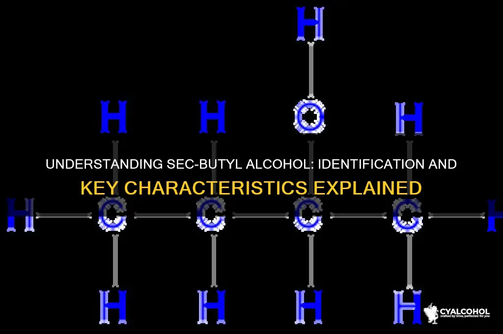 Understanding Sec-Butyl Alcohol: Identification And Key Characteristics ...
