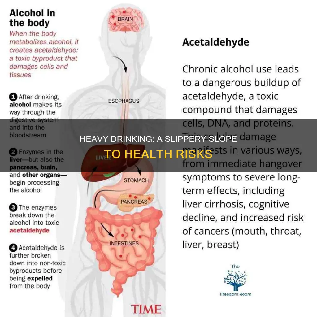 Heavy Drinking: A Slippery Slope To Health Risks | CyAlcohol