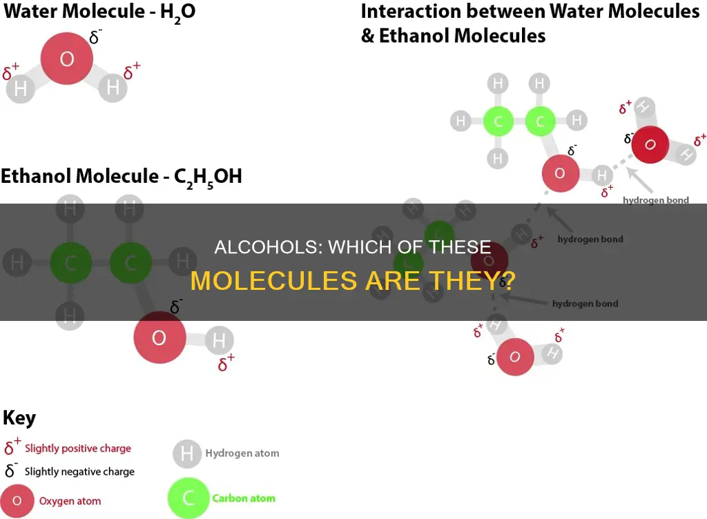 Alcohols: Which Of These Molecules Are They? | CyAlcohol