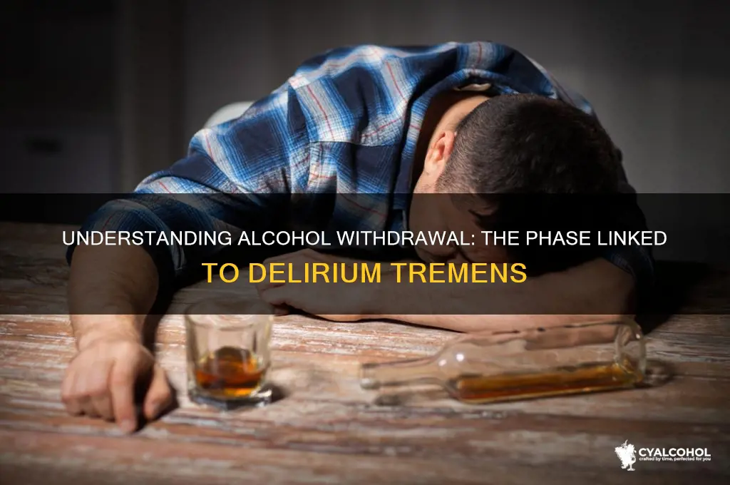 Understanding Alcohol Withdrawal: The Phase Linked To Delirium Tremens ...