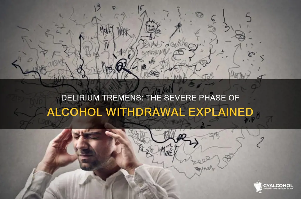 Delirium Tremens: The Severe Phase Of Alcohol Withdrawal Explained ...