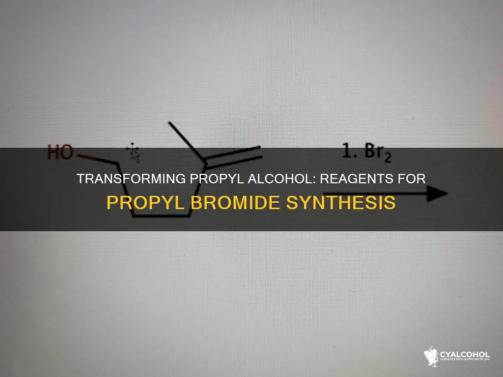 Transforming Propyl Alcohol: Reagents For Propyl Bromide Synthesis ...