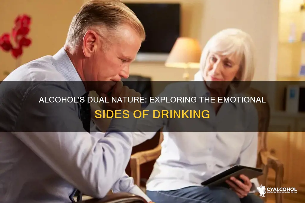 Alcohol's Dual Nature: Exploring The Emotional Sides Of Drinking ...