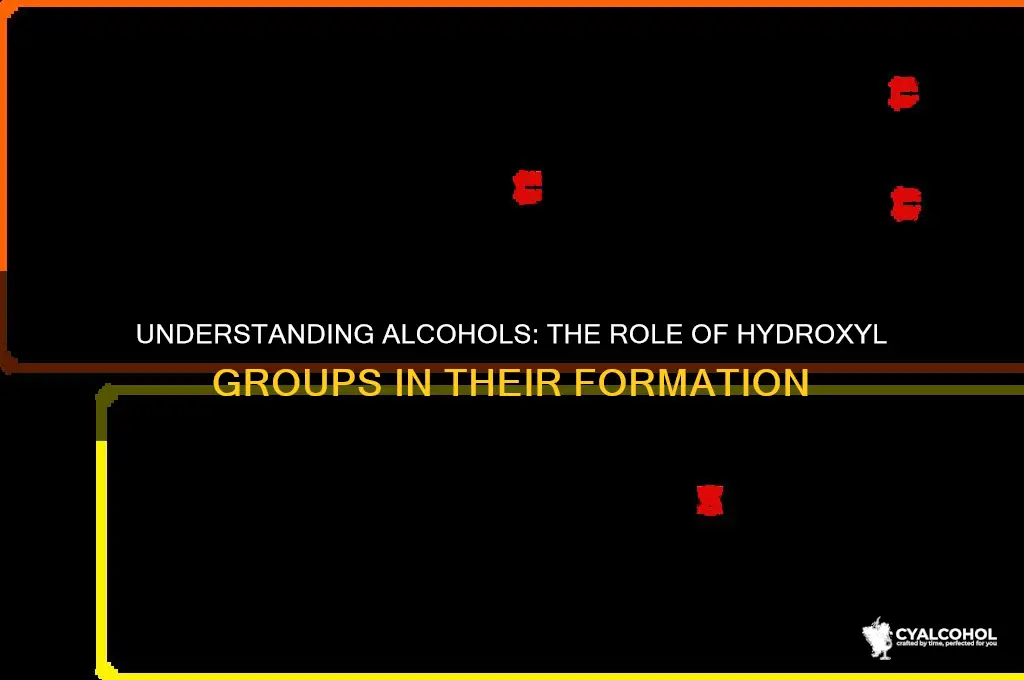 Understanding Alcohols: The Role Of Hydroxyl Groups In Their Formation ...