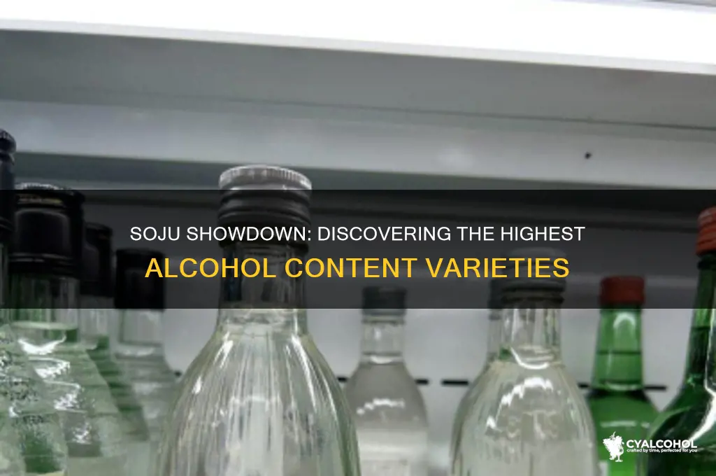 Soju Showdown: Discovering The Highest Alcohol Content Varieties ...