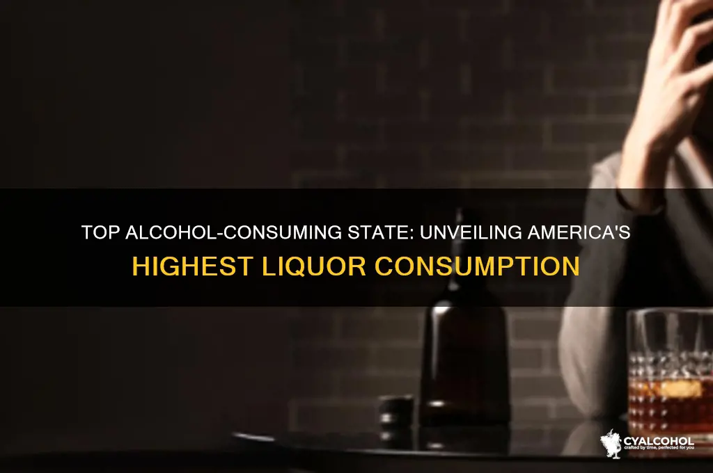 Top Alcohol-Consuming State: Unveiling America's Highest Liquor ...