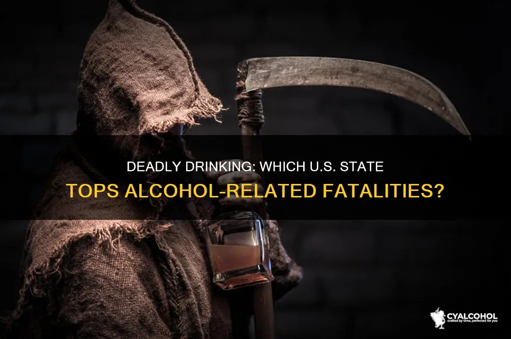 Deadly Drinking: Which U.S. State Tops Alcohol-Related Fatalities ...